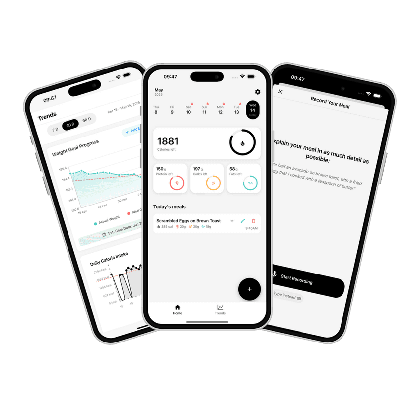 Saylo AI - Voice-Powered Calorie Tracker | Track Nutrition by Speaking